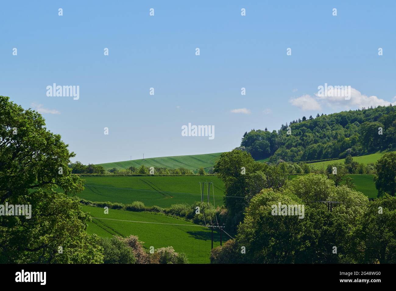 Agriculture farm field in english countryside with blue sky and low ...