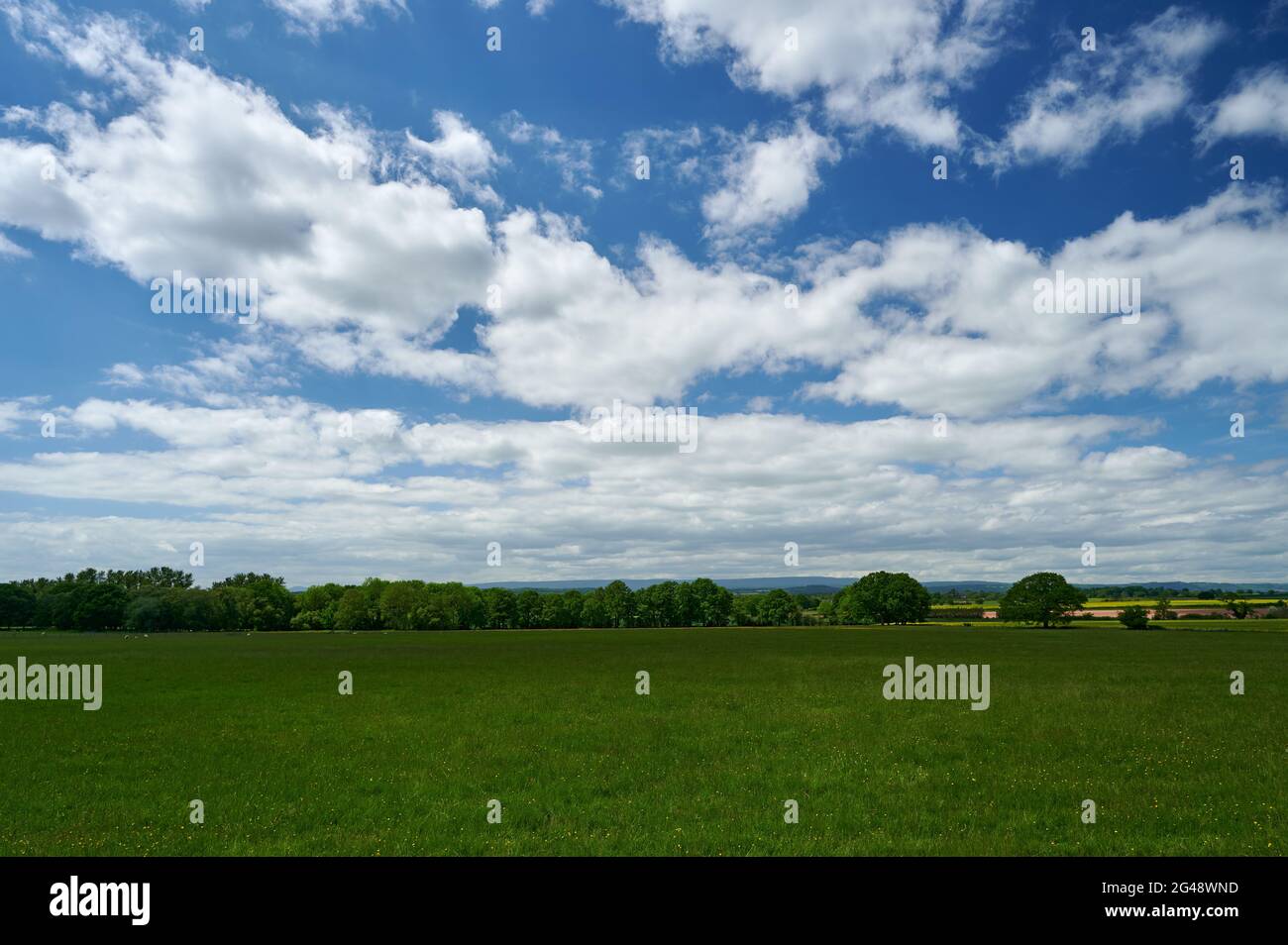 Agriculture farm field in english countryside with blue sky and small ...