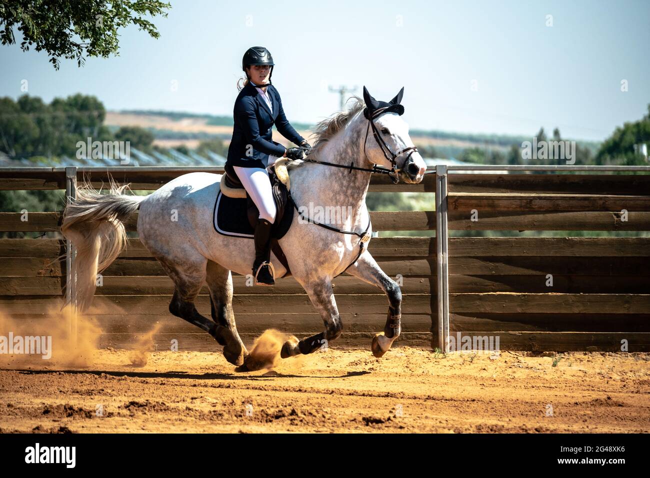 Cohen Mor and Boston de Montini. Israel Horse Jumping Championship ...