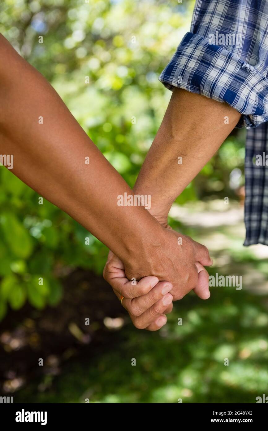 Hand of couple holding hands Stock Photo - Alamy