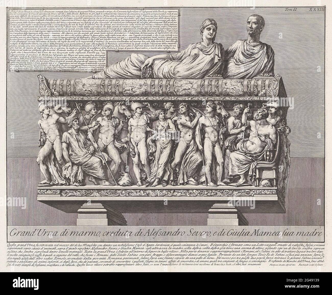 Mamea hi-res stock photography and images - Alamy