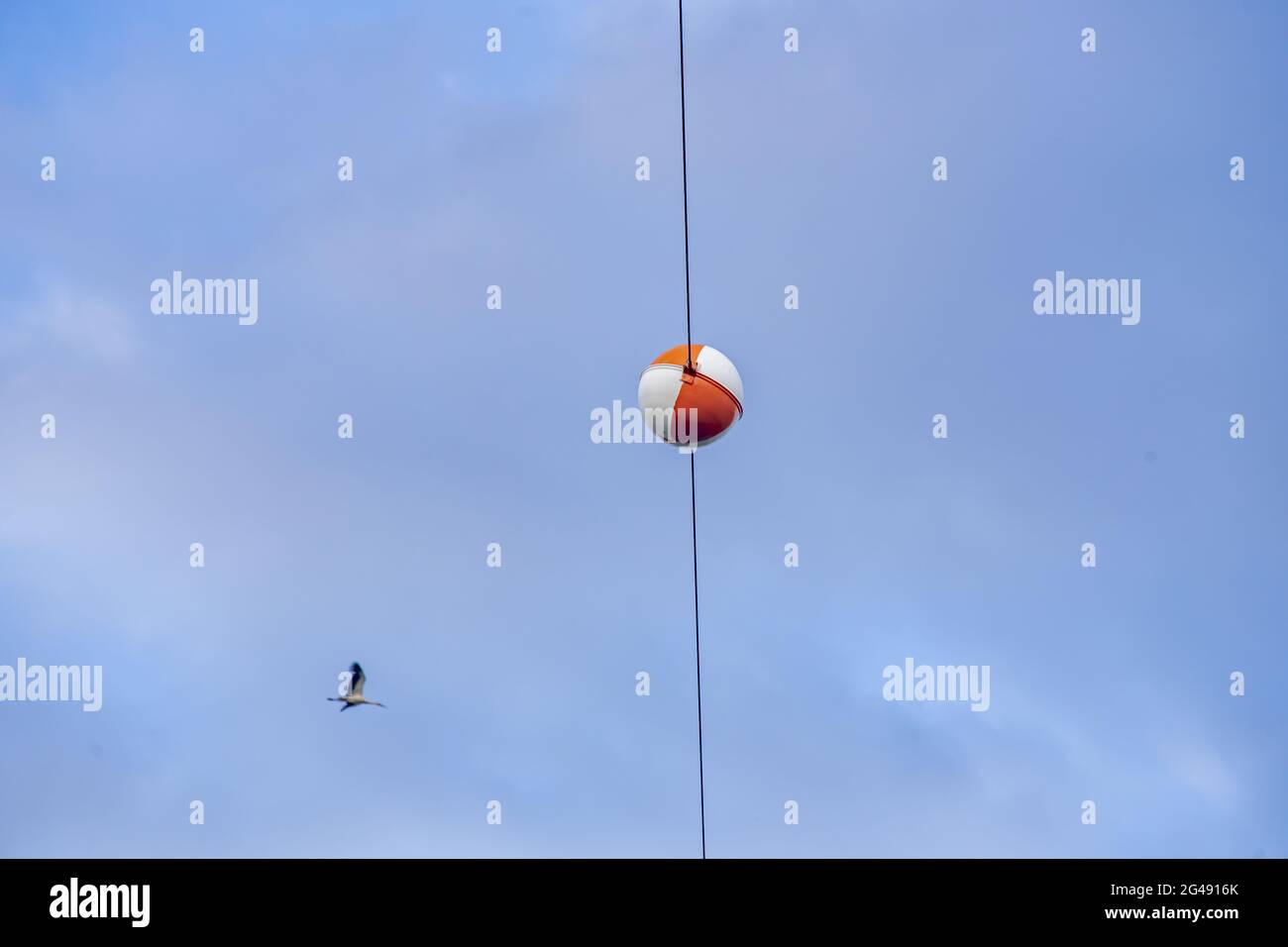 Low angle shot of a red and white ball hangs from a high-voltage power ...