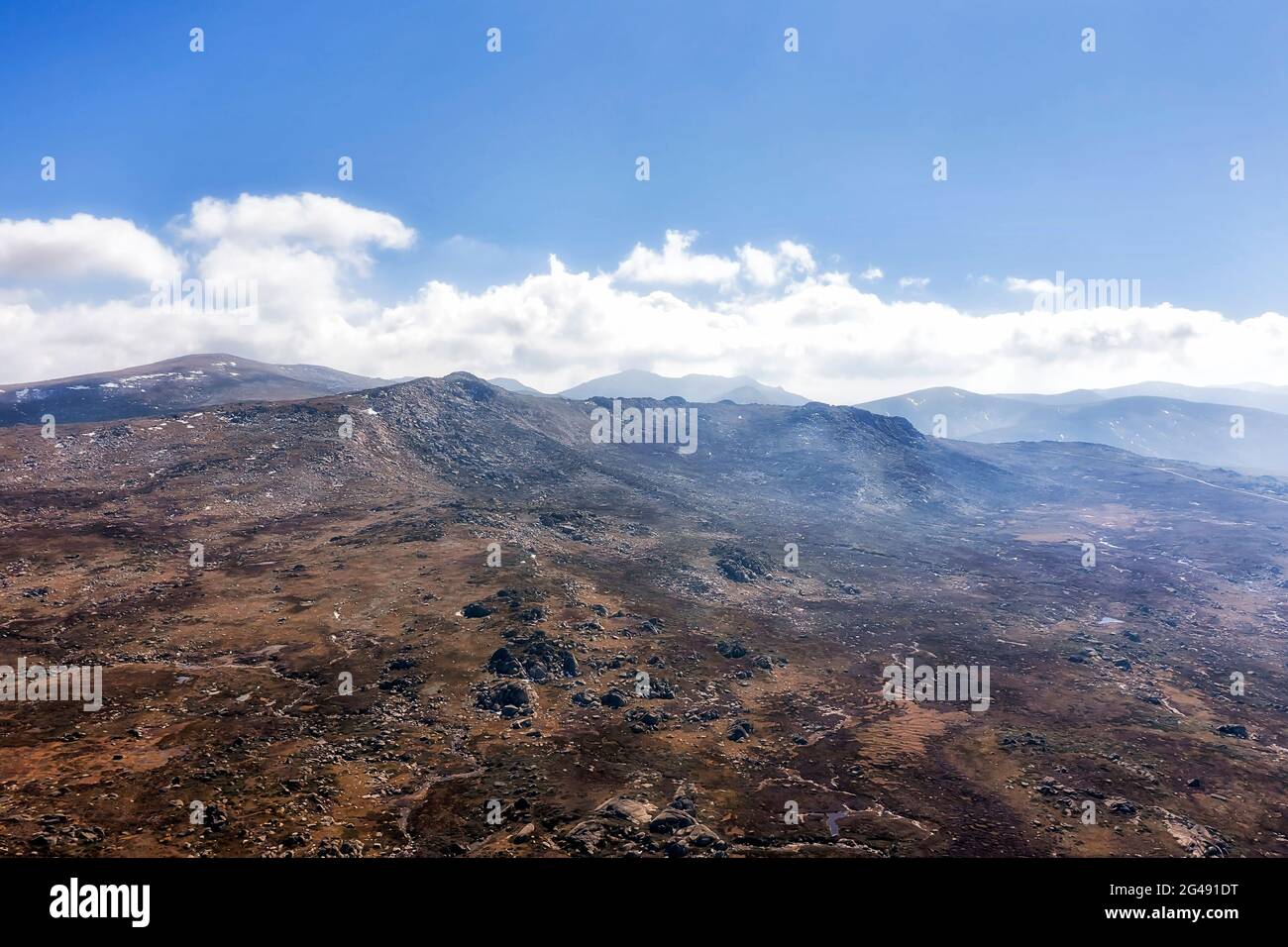 Alpine vegetation, australia hi-res stock photography and images - Alamy
