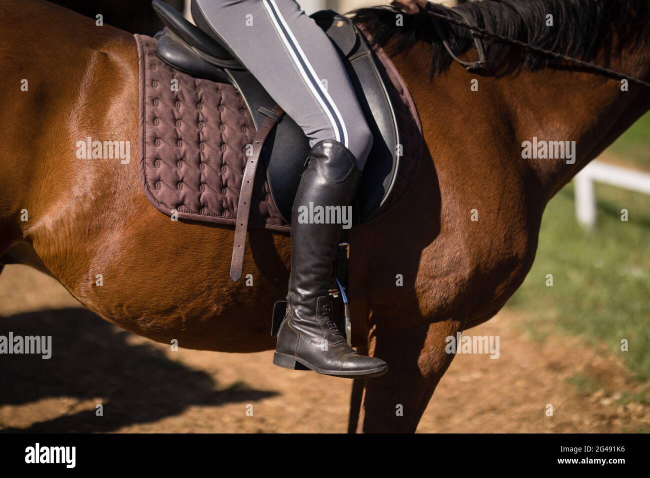 Low section of female jockey horseback riding Stock Photo - Alamy