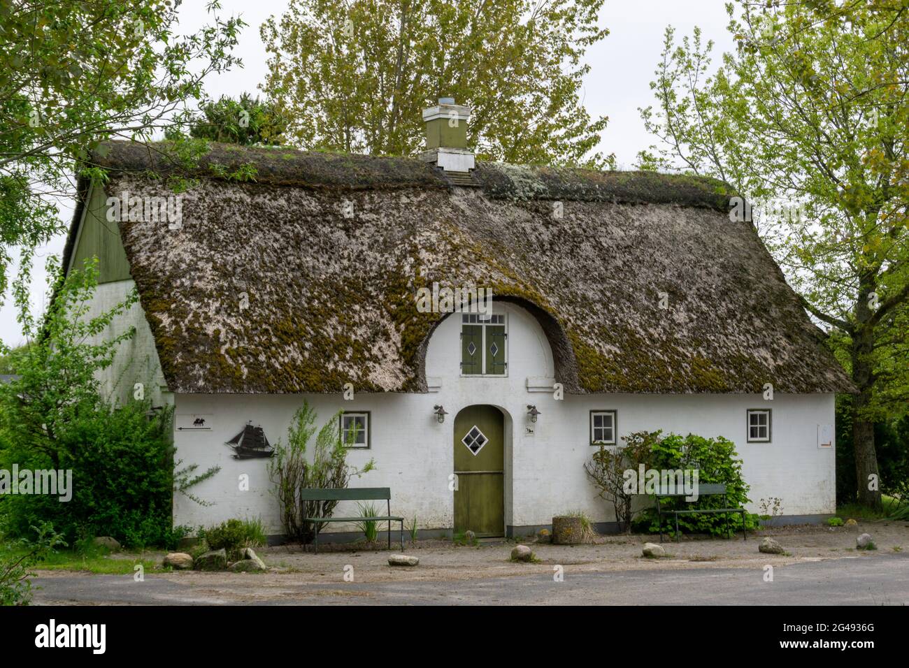 Traditional Danish house with thatched reed roof in a coastal sand dune ...
