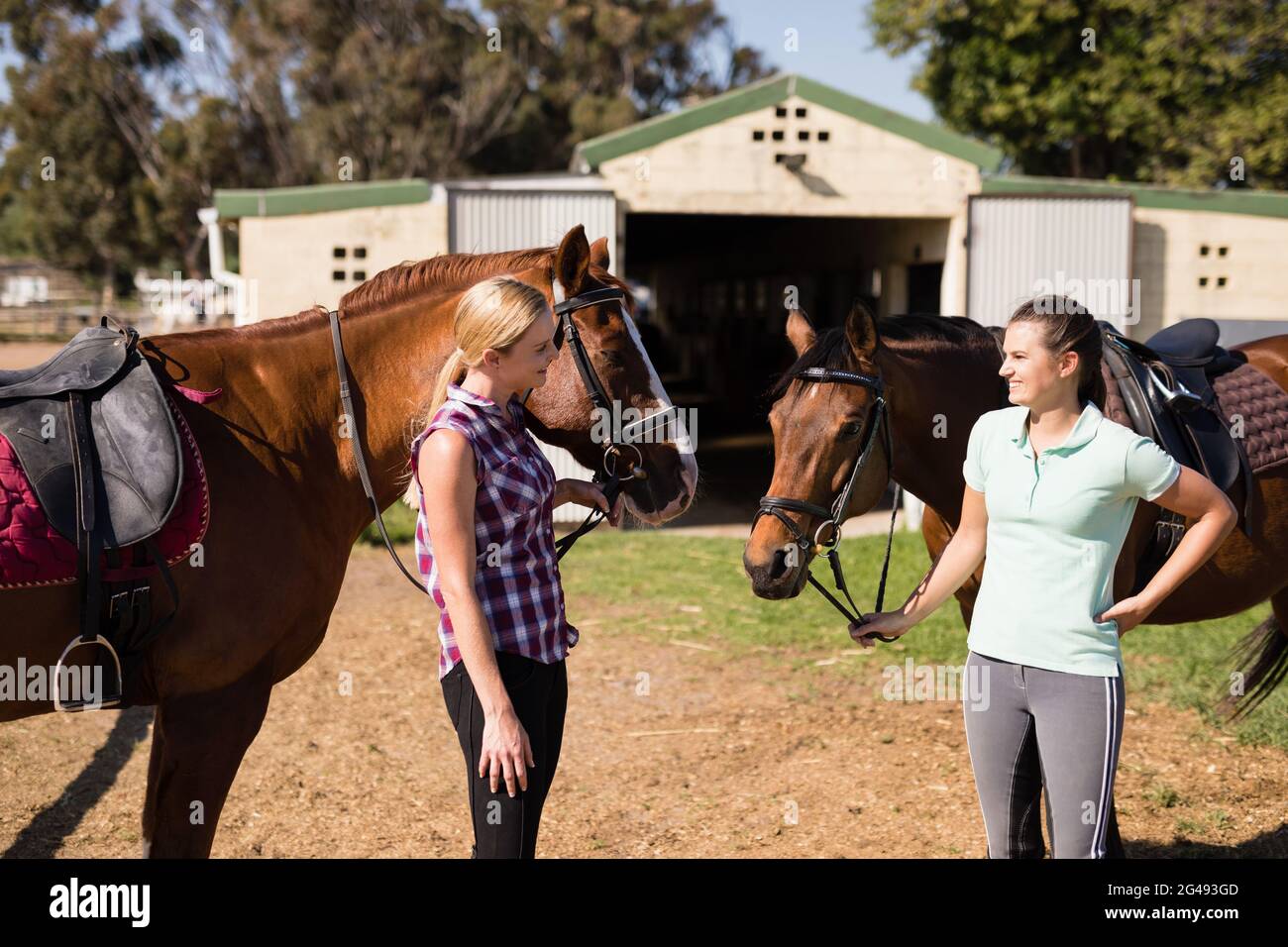 Female friends talking while standing with horses Stock Photo - Alamy