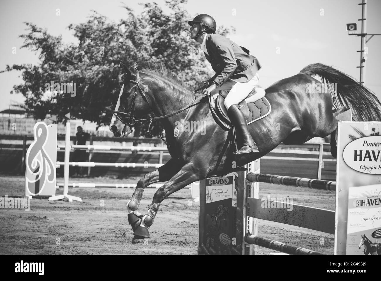 Israel horse jumping championship hi-res stock photography and images ...