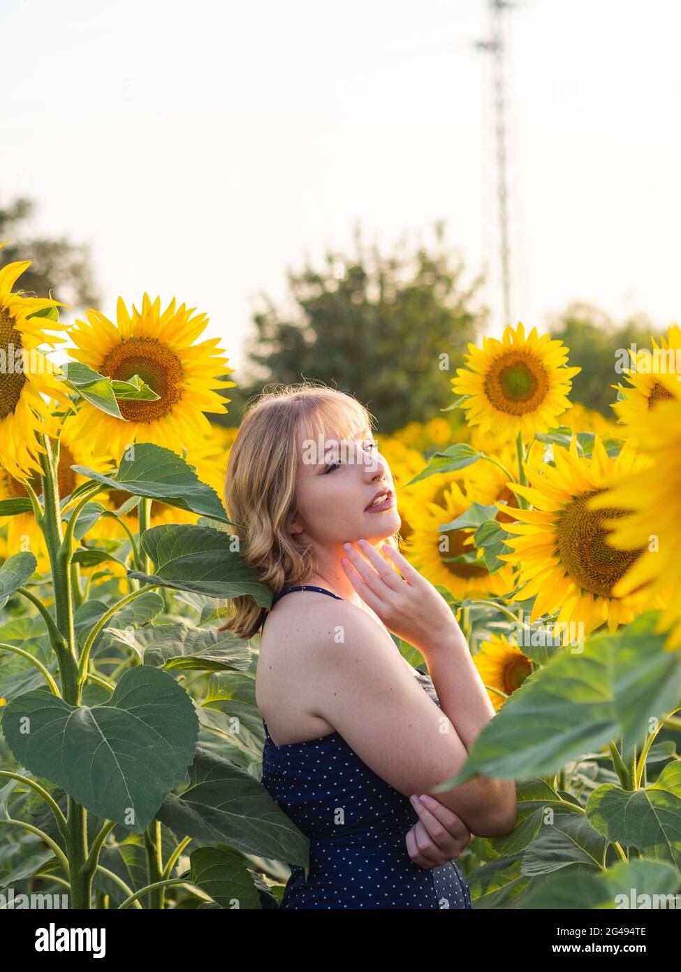 Beautiful Spanish blonde standing in the beautiful field of sunflowers ...