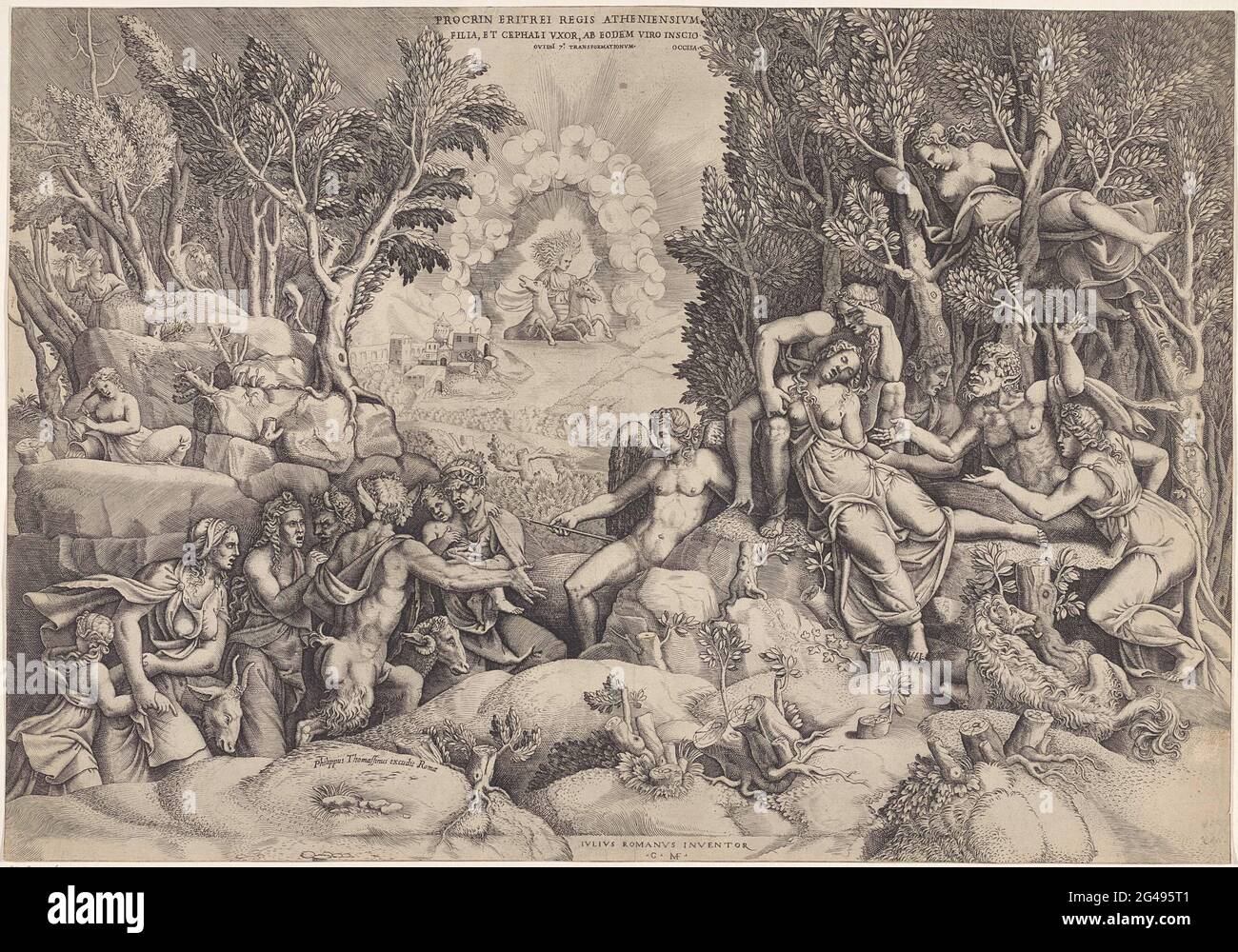Dead procris hi-res stock photography and images - Alamy
