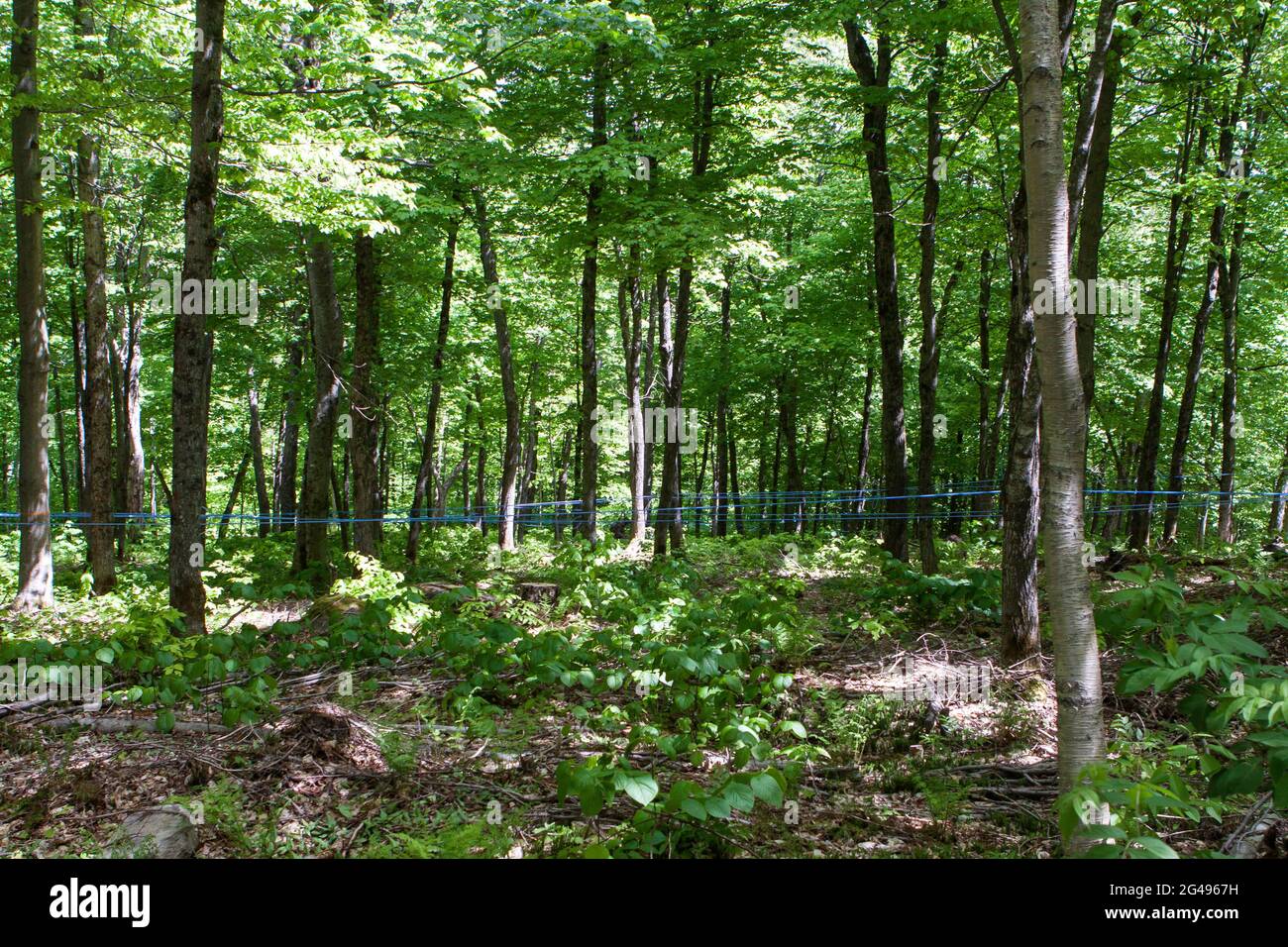 Gravity tubing hi-res stock photography and images - Alamy