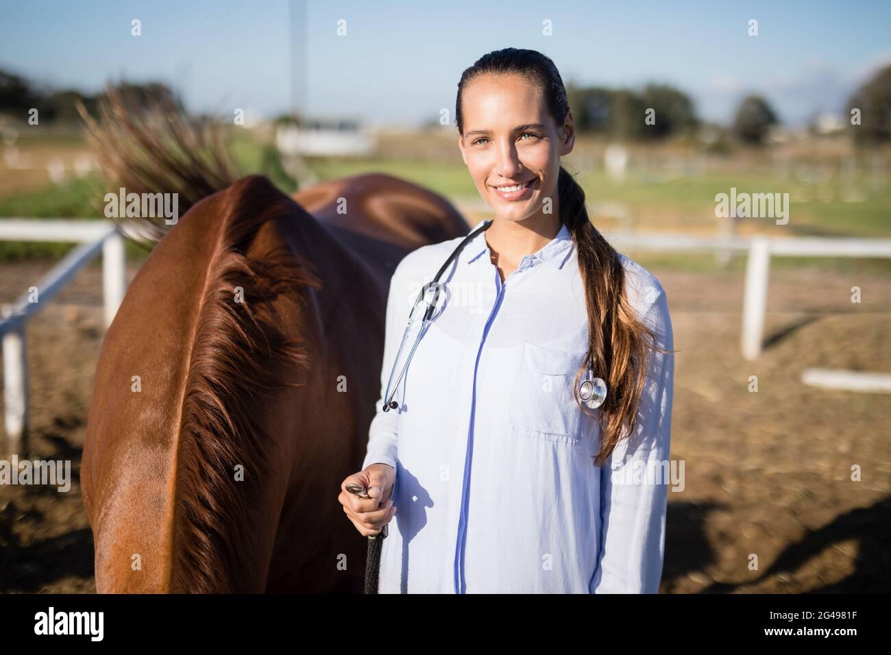 Confident vet standing by horse at barn Stock Photo - Alamy