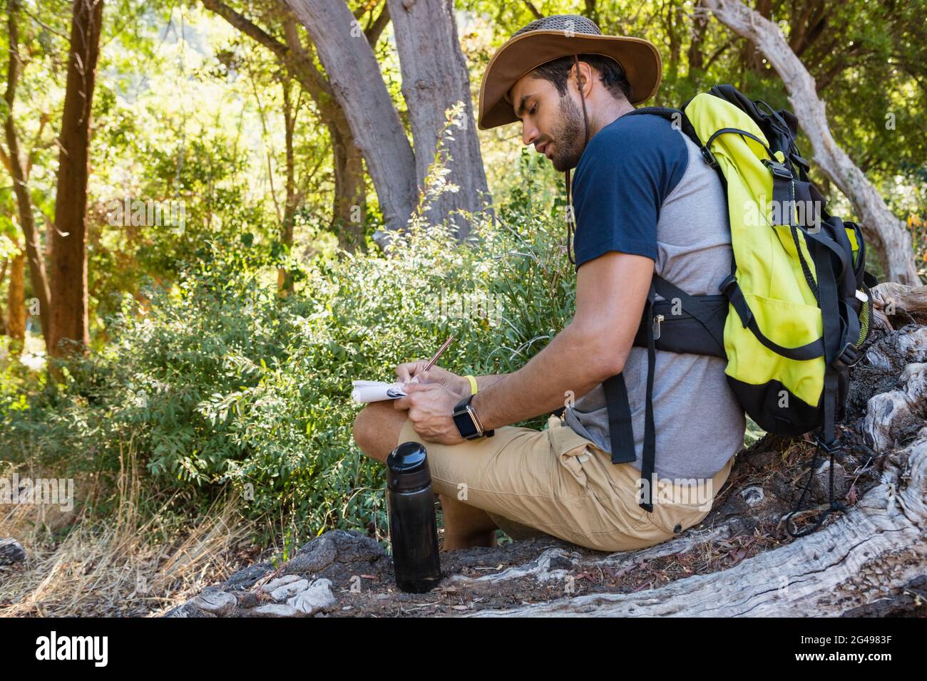 Indian writing on tree hi-res stock photography and images - Alamy