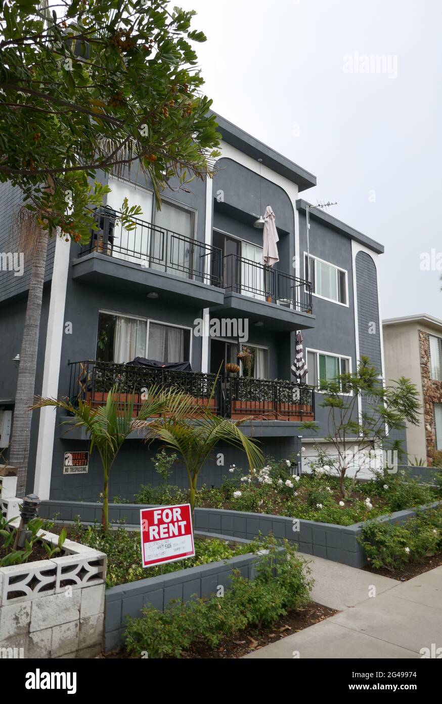 The hollywood ripper hi-res stock photography and images - Alamy