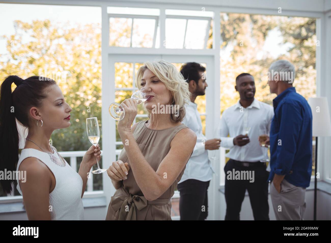 Friends interacting other having champagne hi-res stock photography and images - Alamy