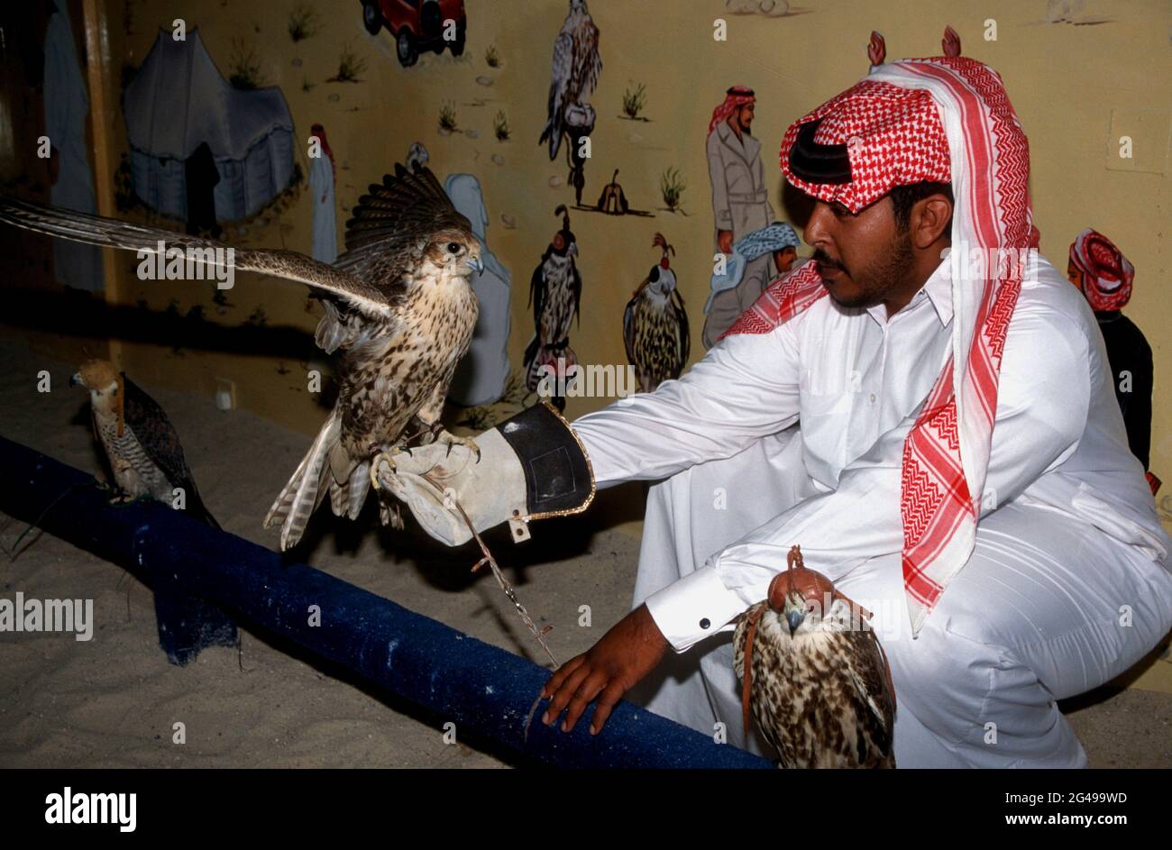 Falcon shop hi-res stock photography and images - Alamy