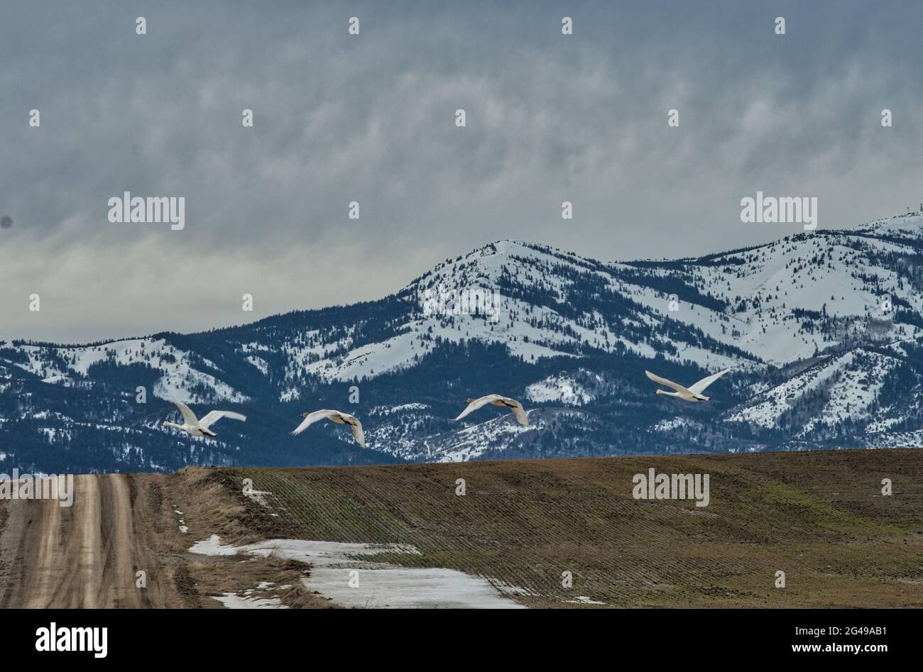 A majestic snowy mountain on background of the cloudy sky seen through ...