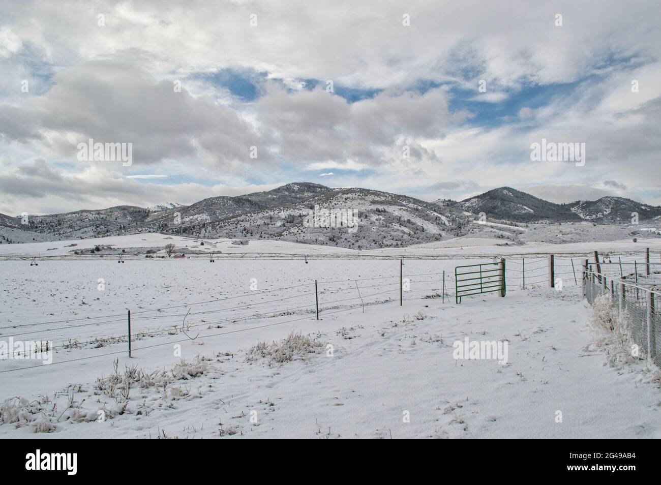 A mountain range covered by snow seen through a snowy field under the ...