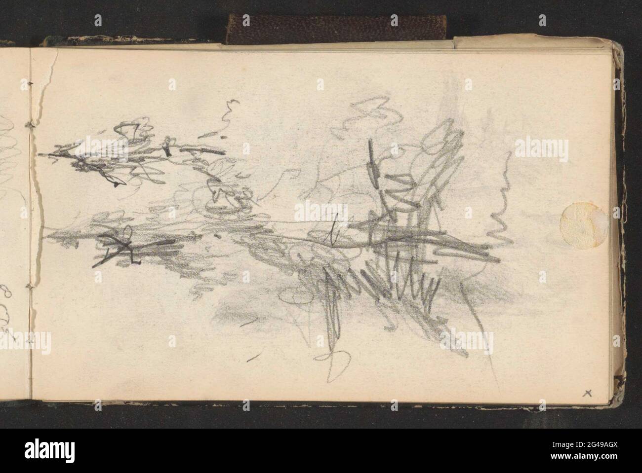 Trees. Leaf 15 Recto from a sketchbook with 46 sheets Stock Photo - Alamy