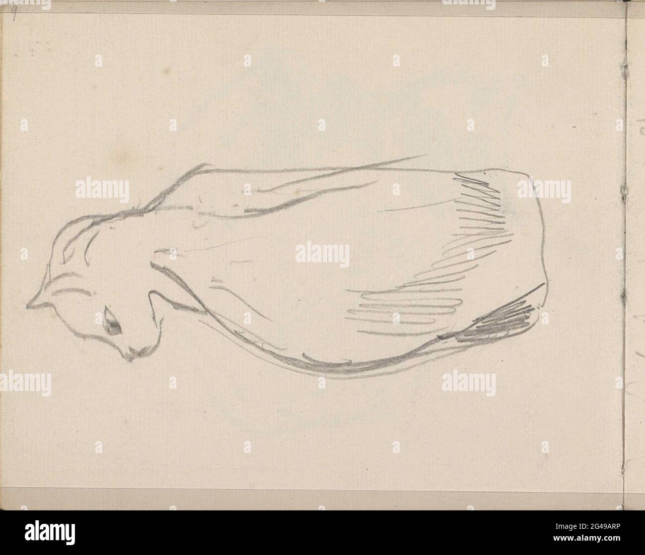Sitting cat. Page 9 From a sketchbook with 32 sheets Stock Photo - Alamy
