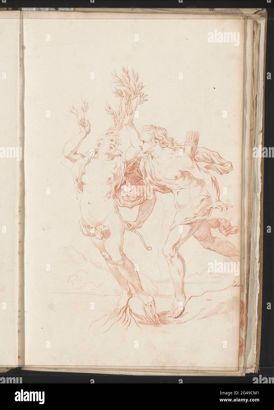 Daphne turns hi-res stock photography and images - Alamy