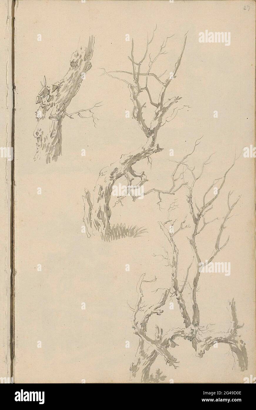 Trees and trunk. Leaf 10 Recto from a sketchbook with 13 sheets Stock ...