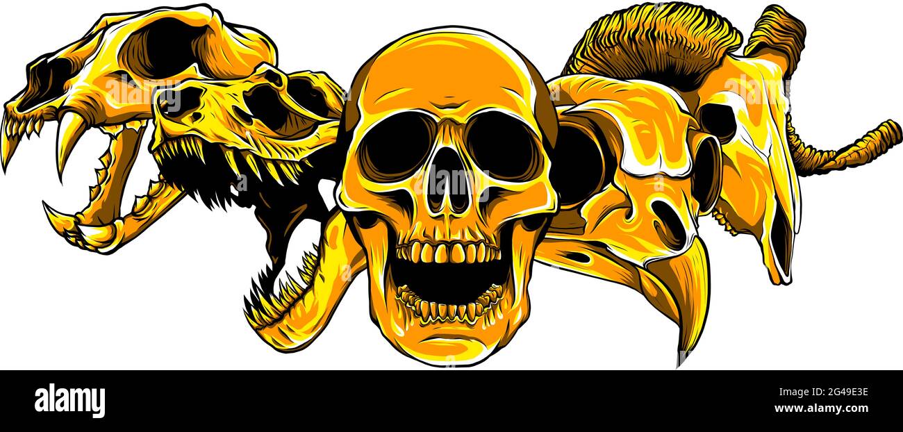 Skull deer horn animal Cut Out Stock Images & Pictures - Alamy