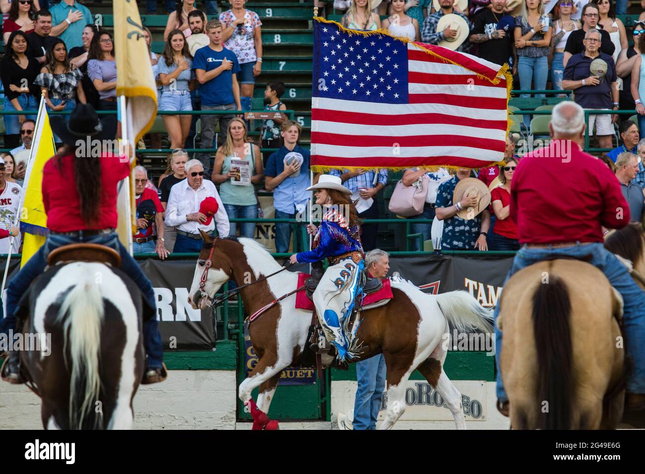 Rodeo Girls Ty