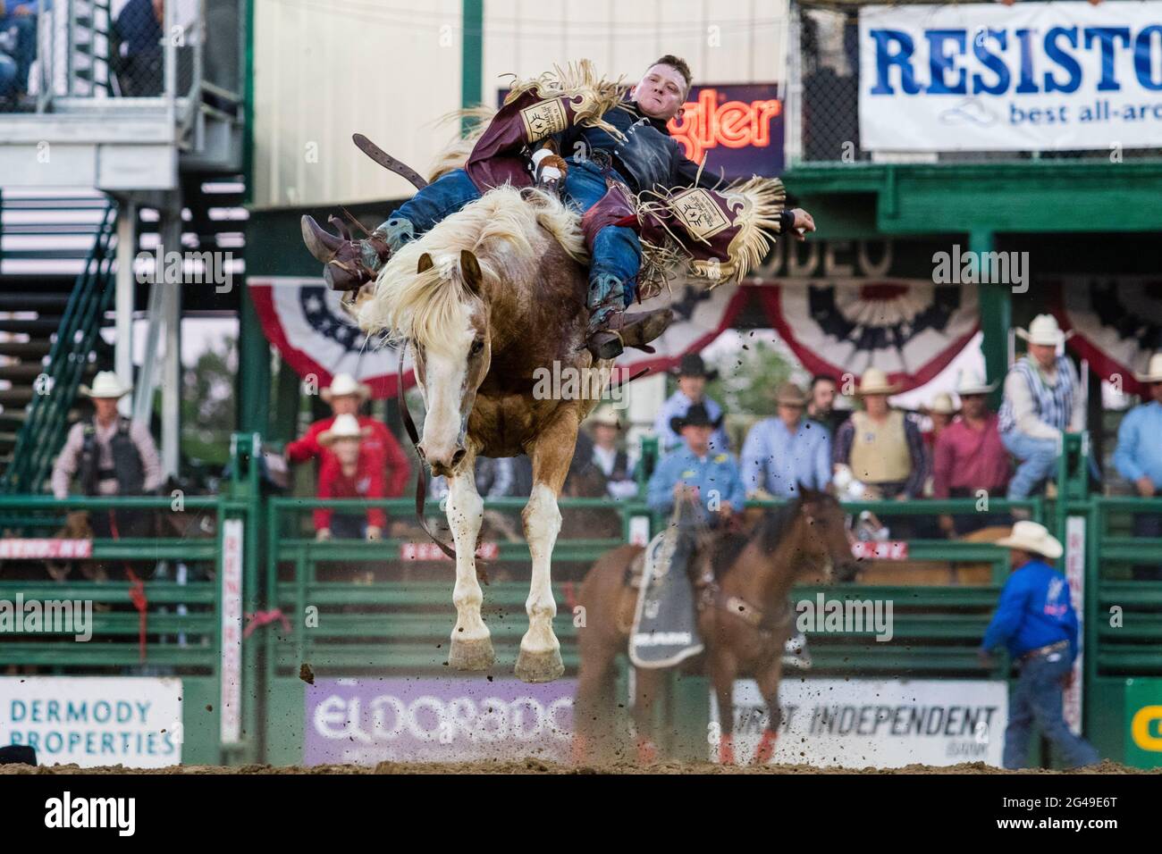 Bronco rider, Zach Hibler holds on to his bronco.The Reno Rodeo enters ...