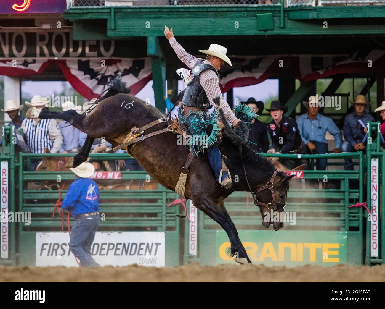 Bronco rider hangs on while passing the chutes.The Reno Rodeo enters ...