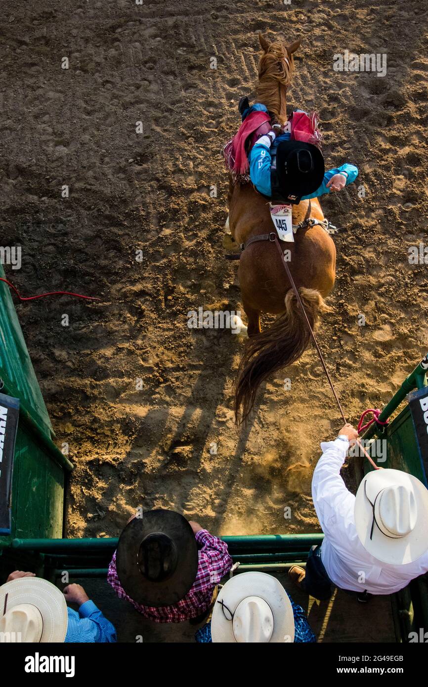 Shane oconnell hi-res stock photography and images - Alamy