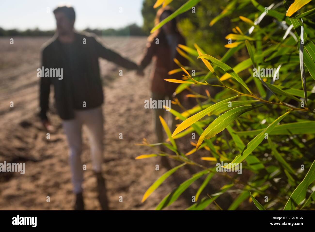 Close-up of plants by couple on field Stock Photo - Alamy