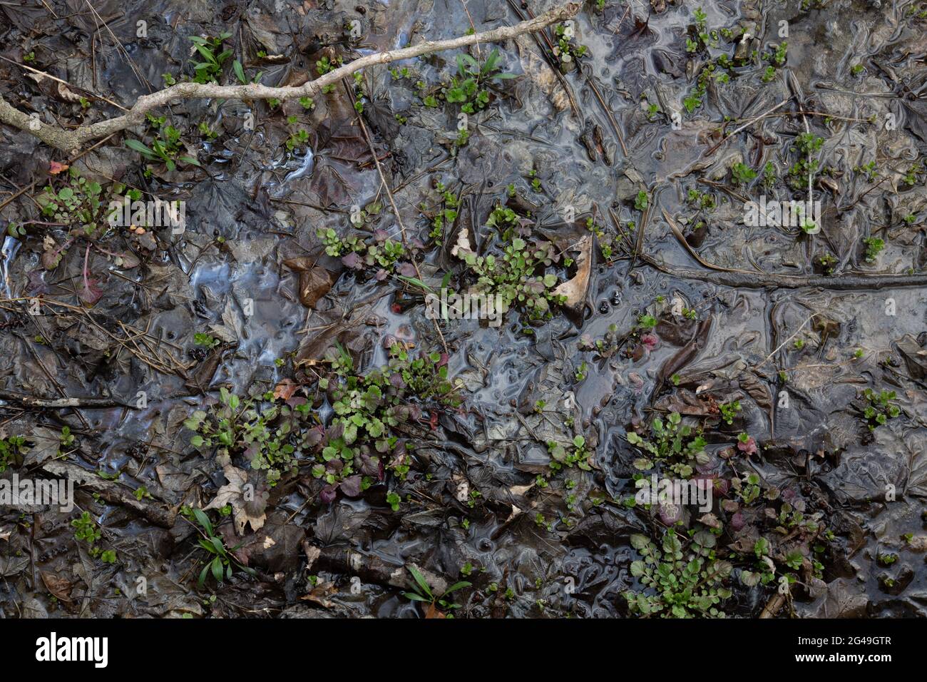 Metea county park hi-res stock photography and images - Alamy