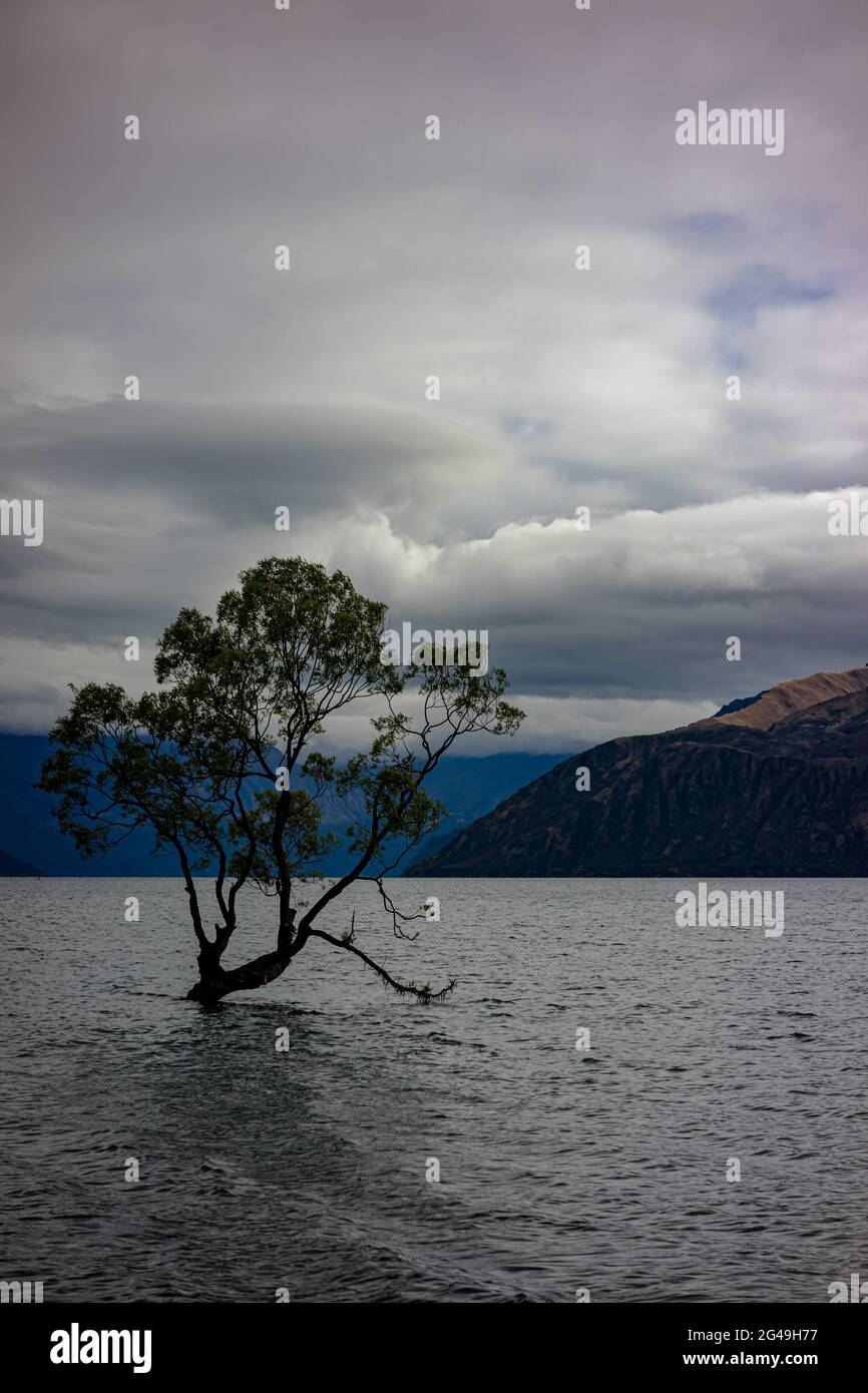 Thatwanaka hi-res stock photography and images - Alamy