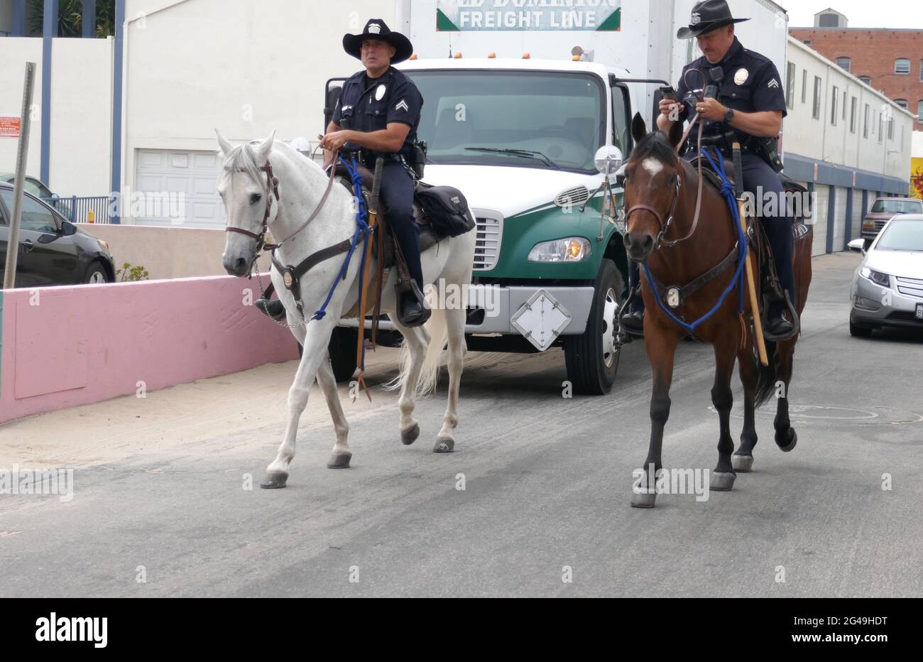Lapd horses High Resolution Stock Photography and Images - Alamy