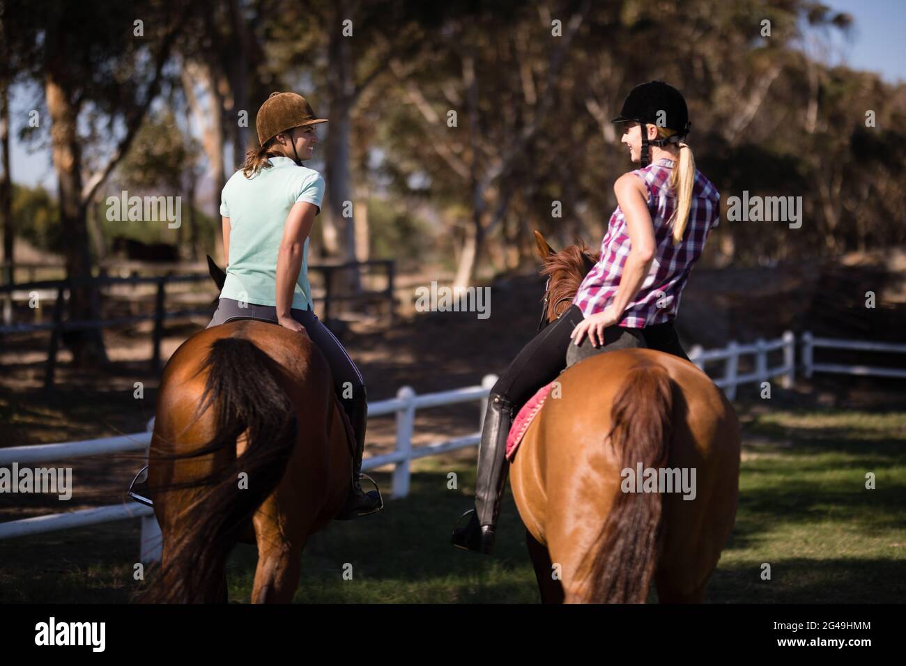Rear view of happy female friends horseback riding Stock Photo - Alamy