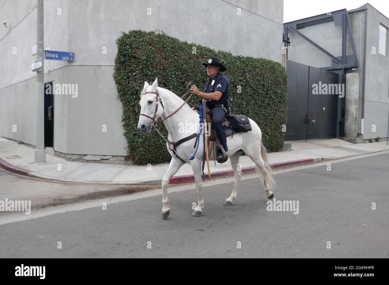 Lapd horses hi-res stock photography and images - Alamy