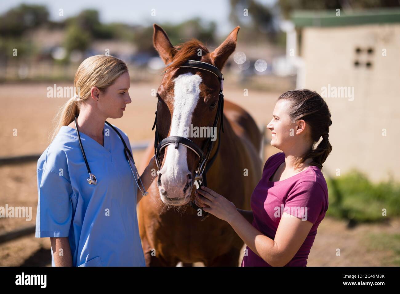 Woman looking vet examining hi-res stock photography and images - Alamy