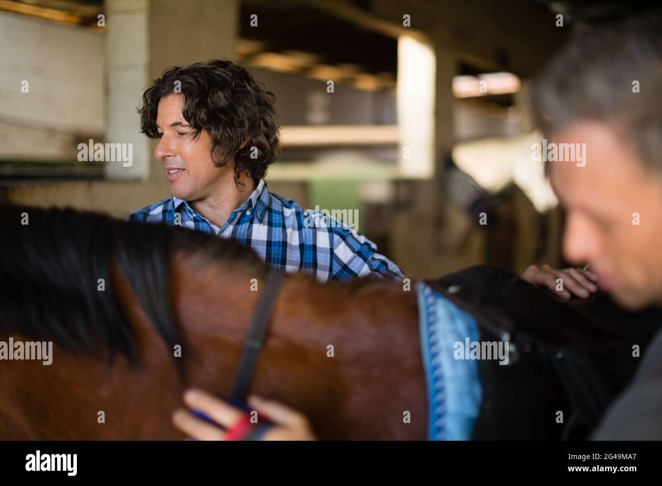 Horse health care in stable hi-res stock photography and images - Alamy