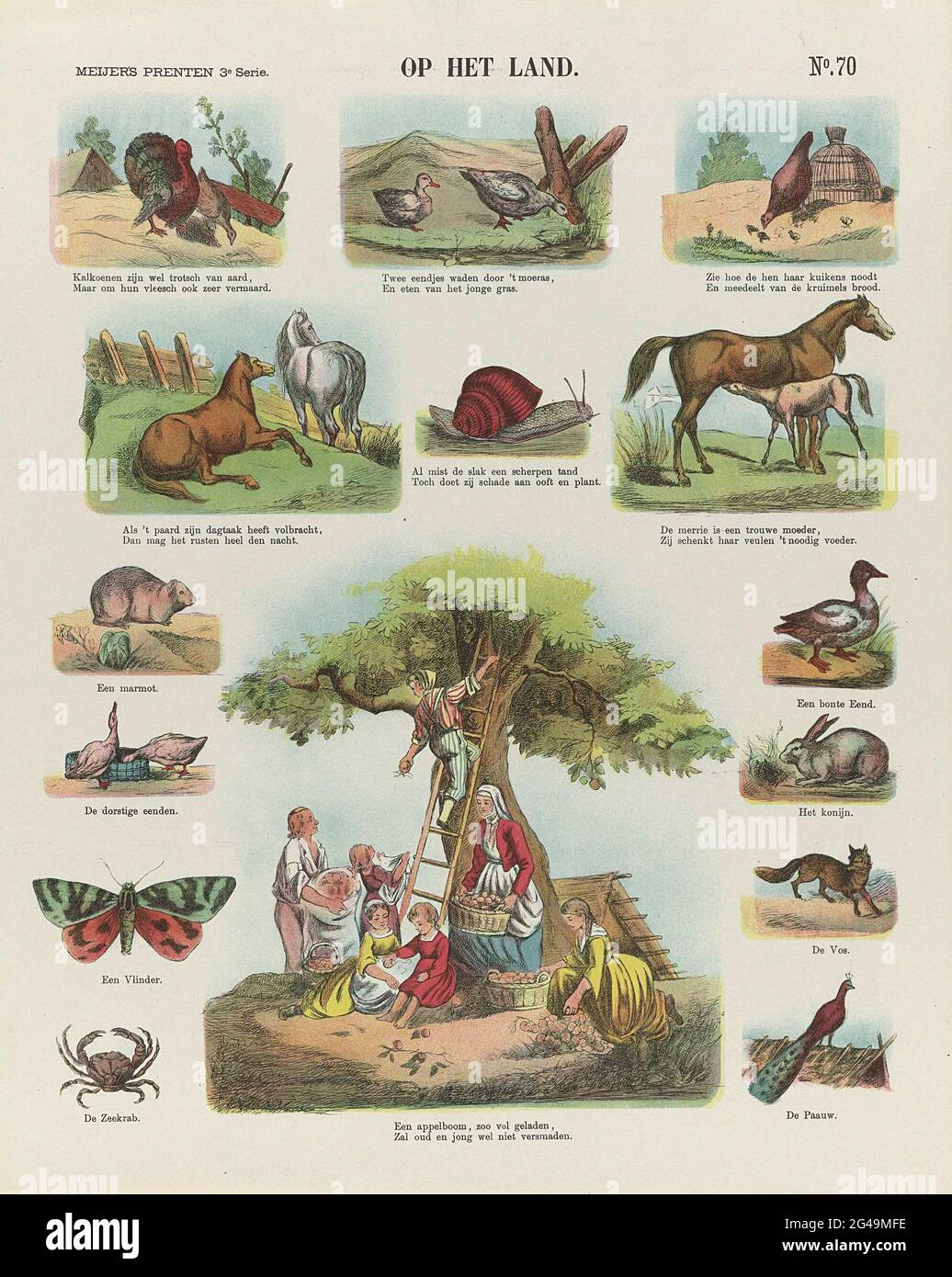 On the land; Meijer's prints. Leaf with 15 performances of animals in ...