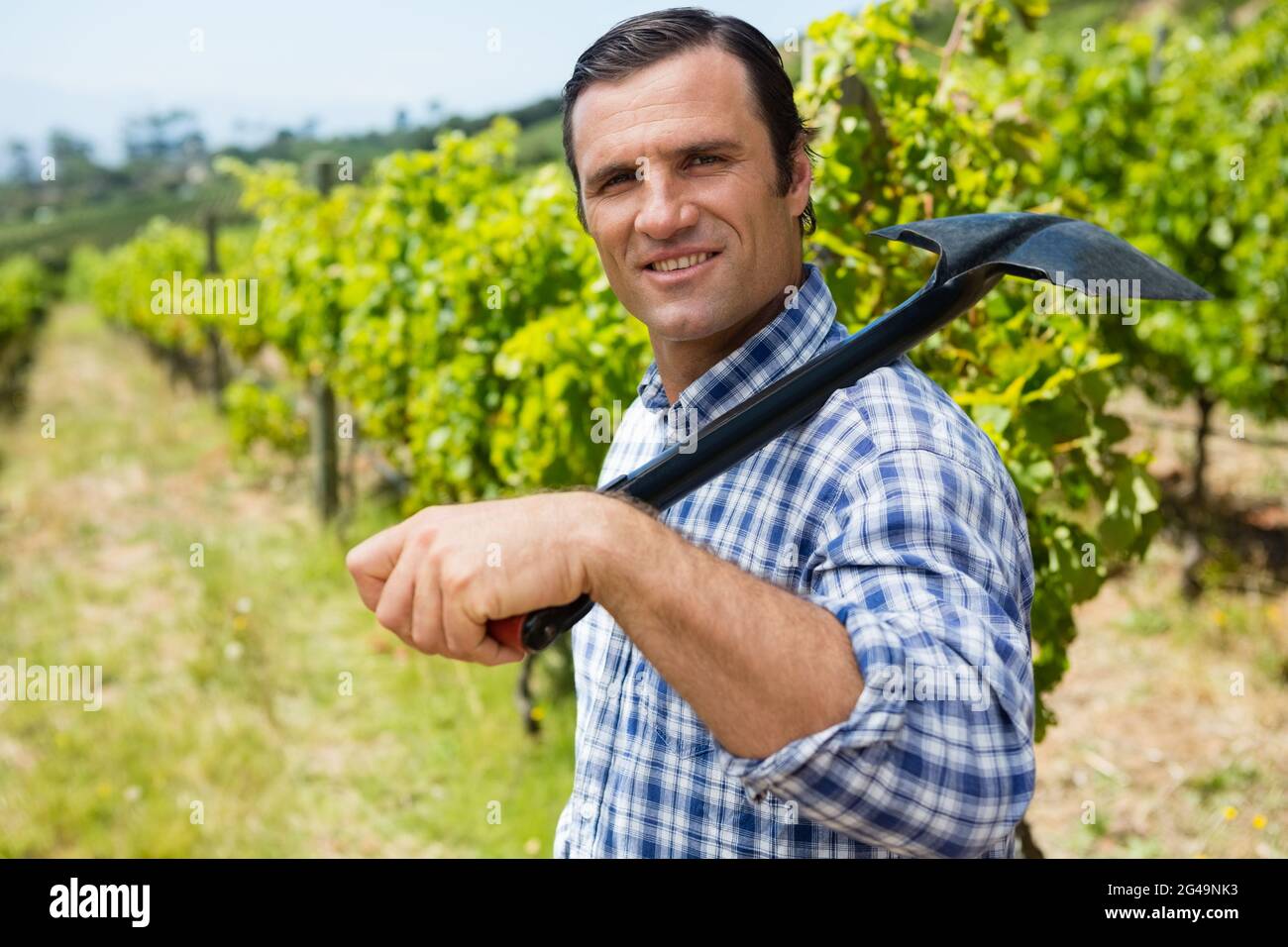 Portrait of vintner standing with shovel in vineyard Stock Photo - Alamy