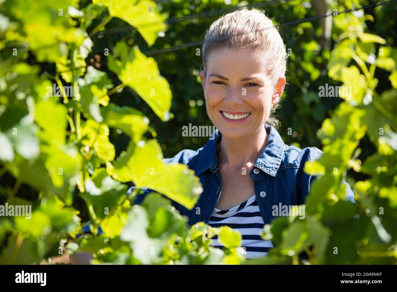 Female vintner hi-res stock photography and images - Alamy