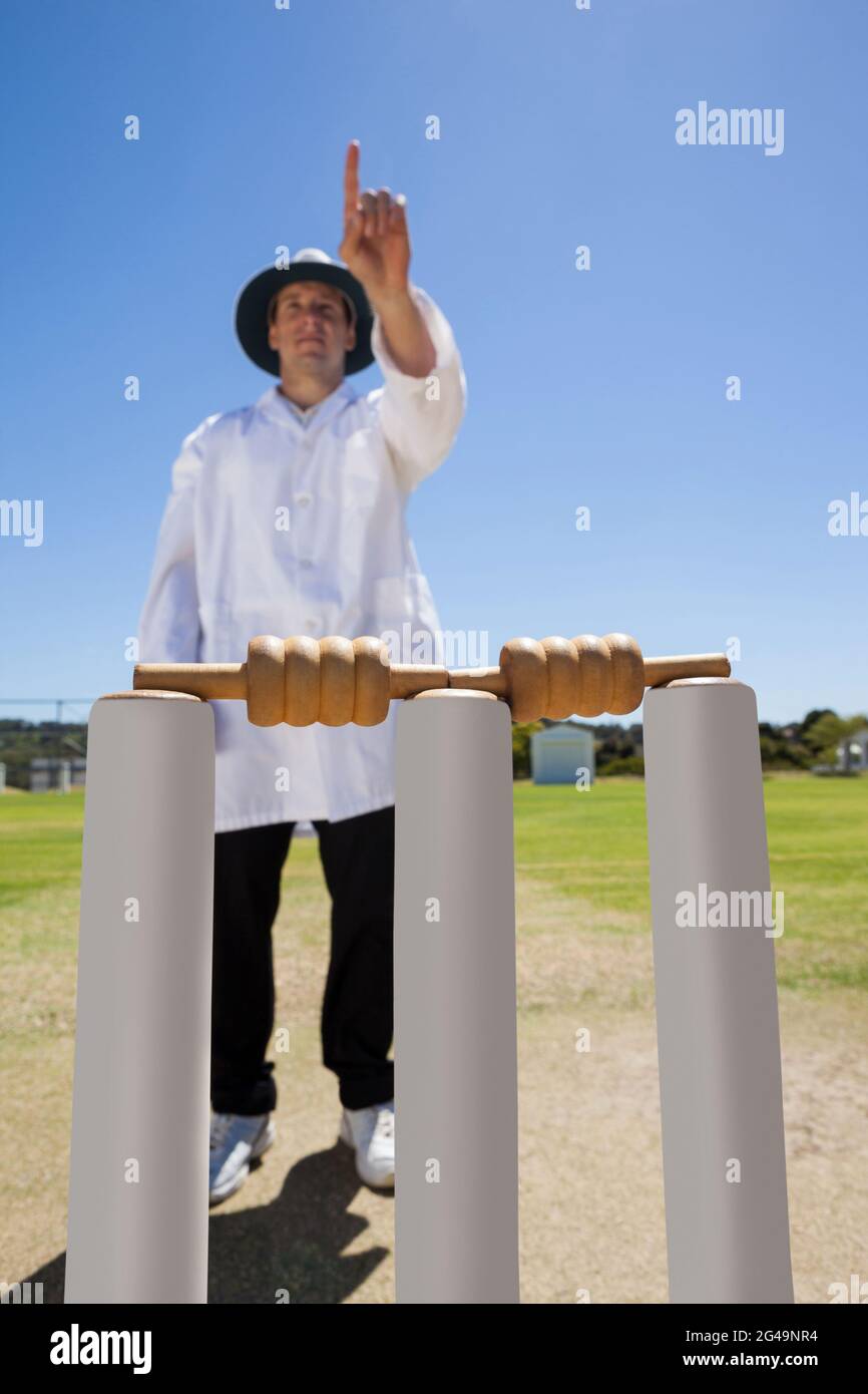 Umpire signalling six while standing behind stumps Stock Photo - Alamy