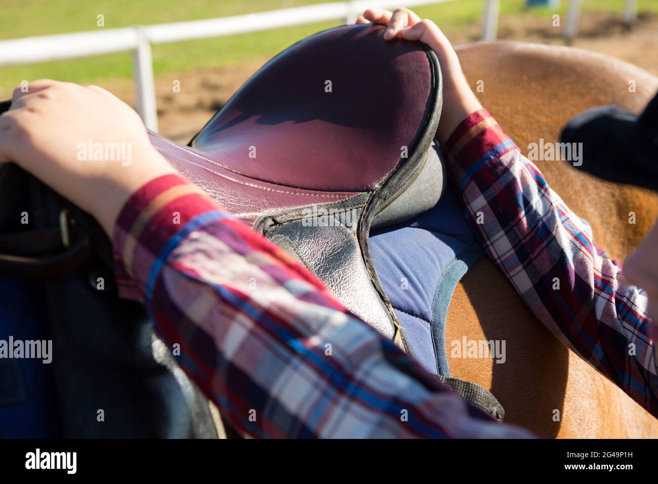 Close-up of girl adjusting saddle on horse Stock Photo - Alamy