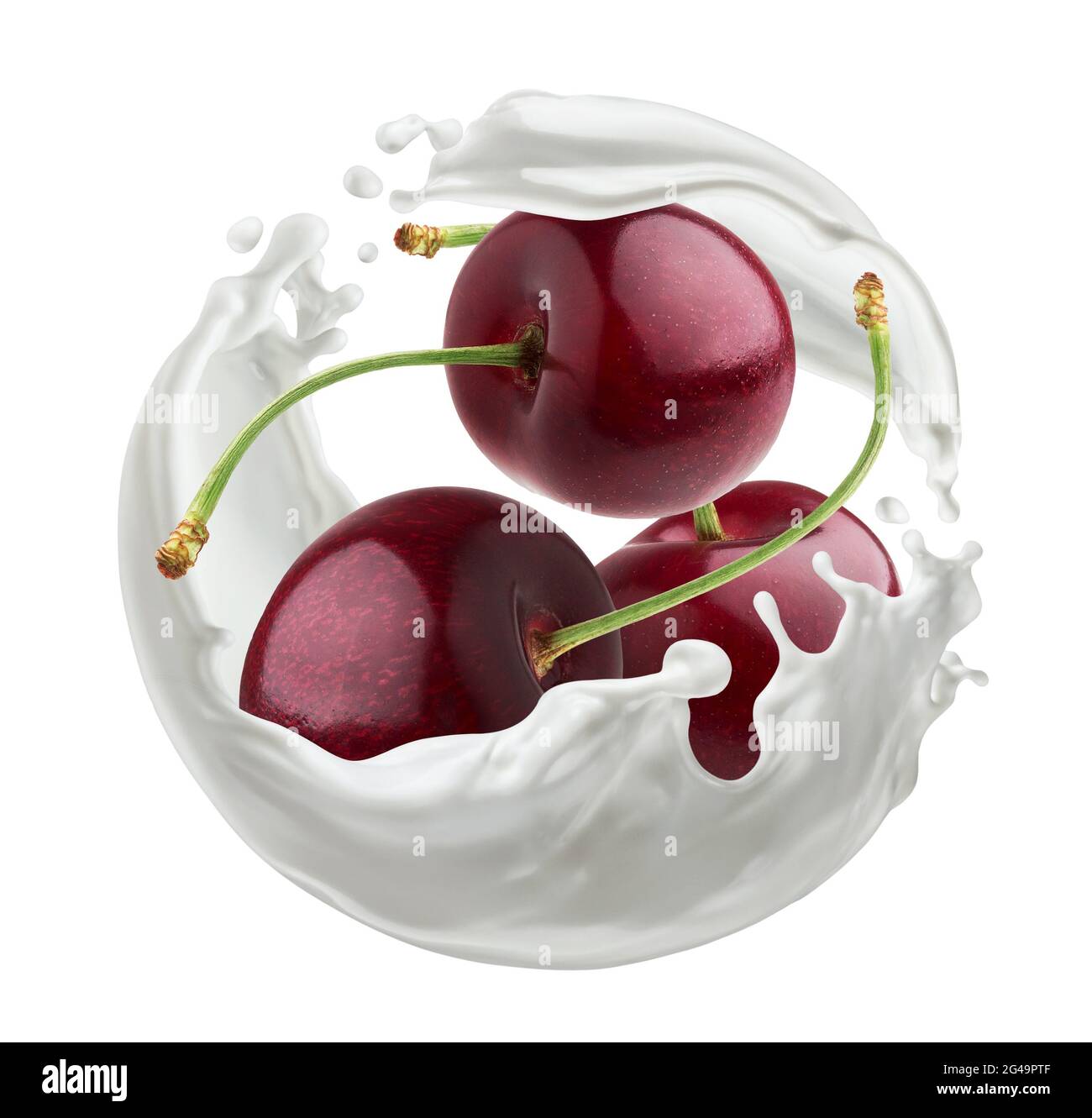 Cherry berries with milk splash isolated on white background Stock ...