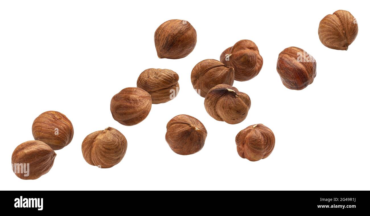 Falling hazelnuts isolated on white background with clipping path Stock ...
