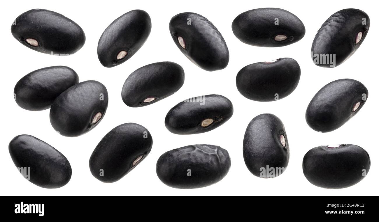Black bean collection isolated on white background Stock Photo - Alamy