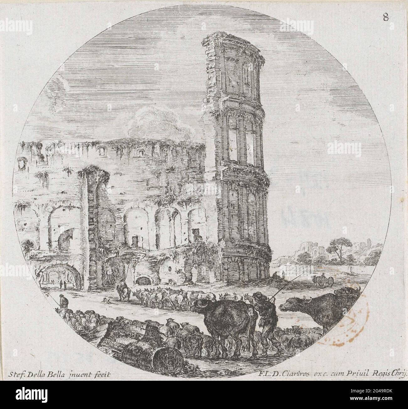 Herds of cows and sheep for the Colosseum; Landscapes and ruins in Rome ...