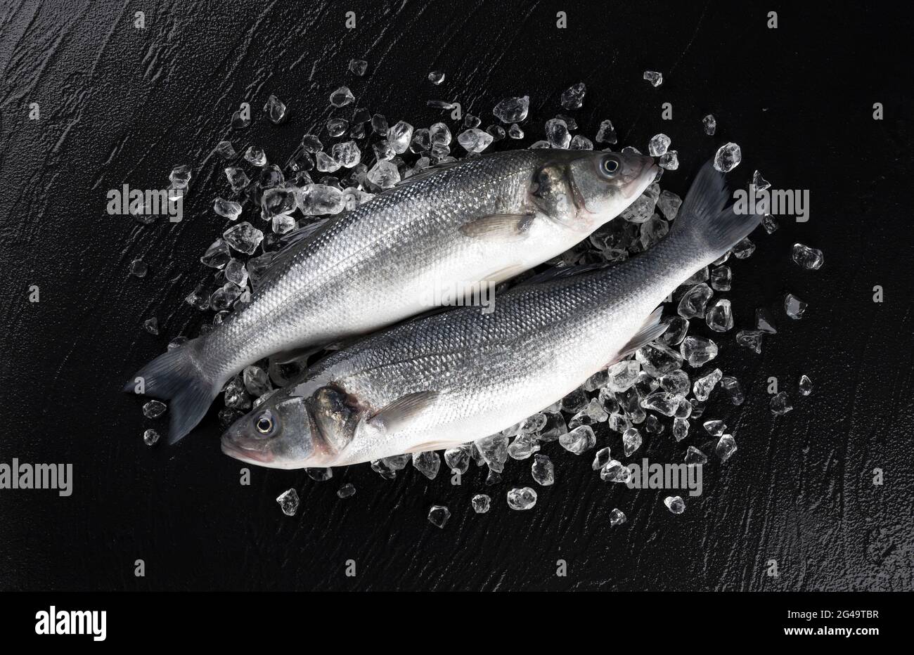 Top view seabass fish hi-res stock photography and images - Alamy