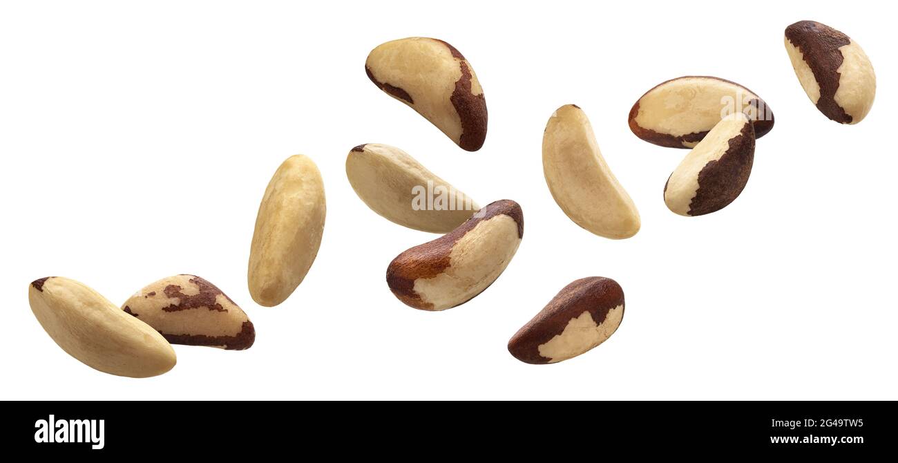 Brazil nuts isolated on white background with clipping path Stock Photo ...