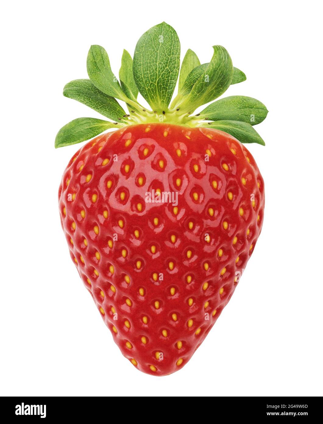 One strawberry isolated on white background Stock Photo - Alamy